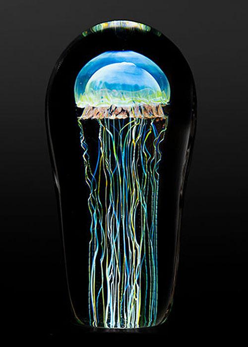 Small Moon Jellyfish - An American Craftsman